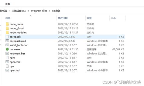 Win10 安装nodejswin10安装pnpm Csdn博客