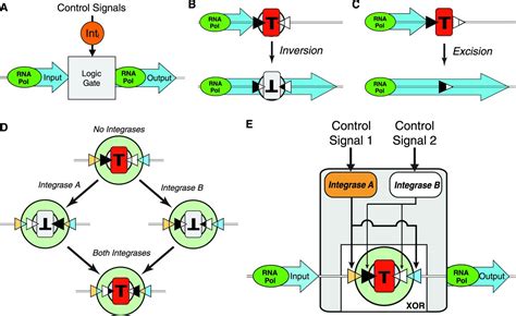 Logic Gates Images Logic Gates Images