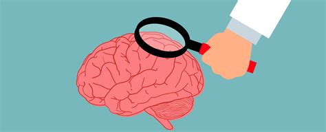 unit test the brains and not the nerves · srikanth sastry