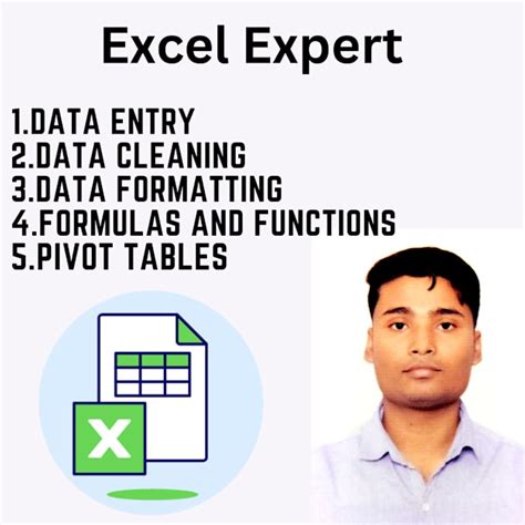 Do Data Entry In Ms Excel Create Pivot Tables Clean Data And