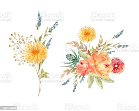 흰색 배경에 노란색 꽃 수채화 그림과 섬세한 꽃다발의 세트 손으로 그린 국화에 대한 스톡 벡터 아트 및 기타 이미지 국화 0명 개체 그룹 Istock