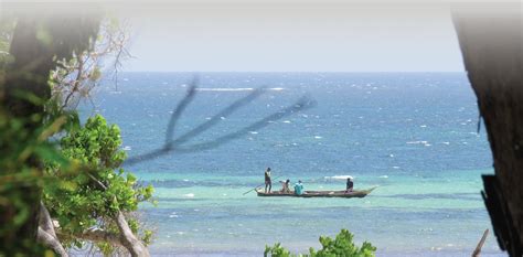 Home The Lua Collection