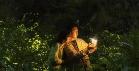 四川青神萤火虫点亮当地经济 热门点酒店今年已满房38次腾讯新闻