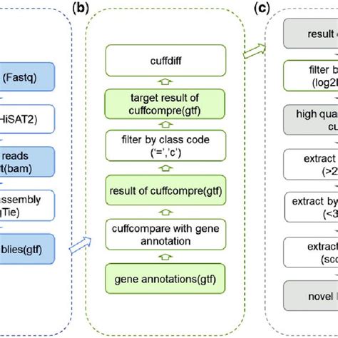 The Workflow Of Lncrna Analysis And Prediction A Initial Assembly Download Scientific