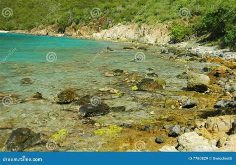 Lameshur Bay Reefs St John Stock Image Image Of John Virgin 7780829
