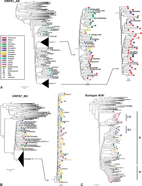 Phylogenetic Tree Analyses Identifying 3 Distinct Hiv 1 Phylogenetic