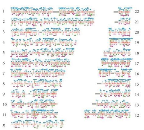 Insertional Mutagenesis From A Viral Vector The Scientist