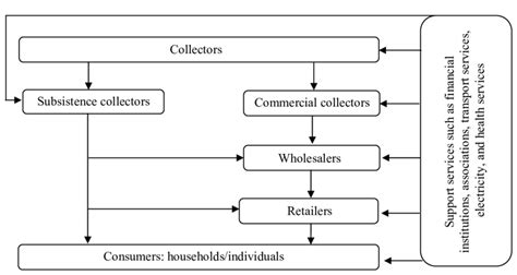 The Grasshopper Value Chain In Central Uganda Source Donkor Et Al Download Scientific