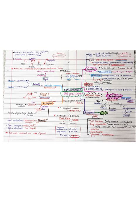 Solution Biological Classification Mindmap Studypool