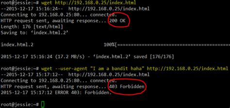 The Ultimate Guide To Secure Harden And Improve Performance Of Nginx Web Server