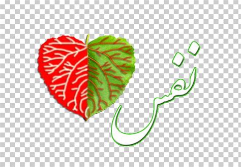 Cafe Bazaar Android Mobile App Mobile Phones Plant Stem Png Clipart