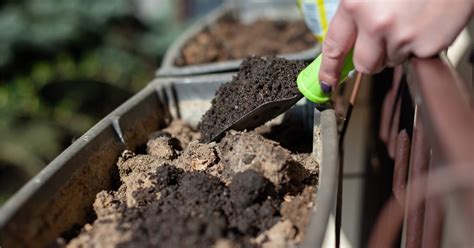 Is Too Much Compost Hurting Your Plants