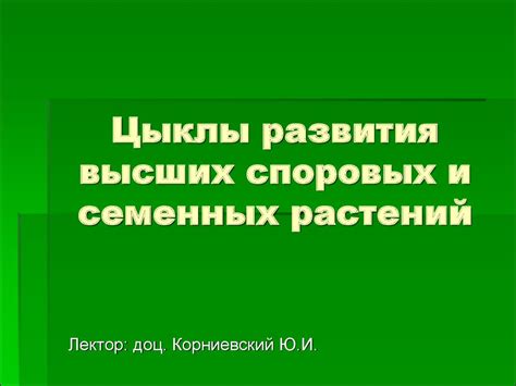 Циклы развития высших споровых и семенных растений презентация онлайн