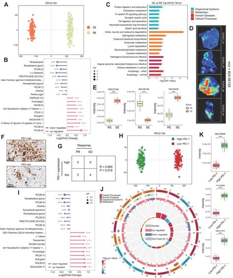 Spatial Metabolomics And Transcriptomics Reveal Metabolic Reprogramming And Cellular