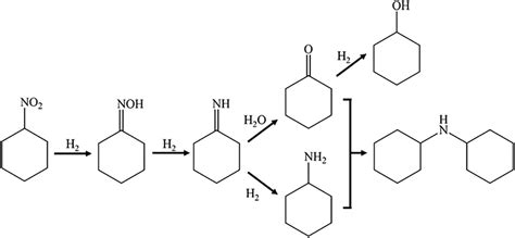 Catalytic Hydrogenation Of Nitrocyclohexane As An Alternative Pathway