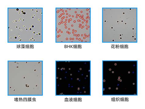 单细胞荧光分析仪（jsy Fl 047） 博大博聚科技