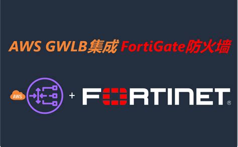 Aws Vpc 流量集中检测系列 3aws Gwlb集成fortigate防火墙