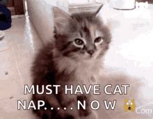 Nap Meme S Tenor