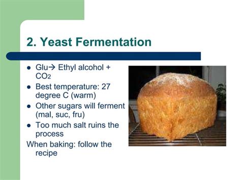Examples Of Fermentation Pharmaceutical Microbiology Ppt