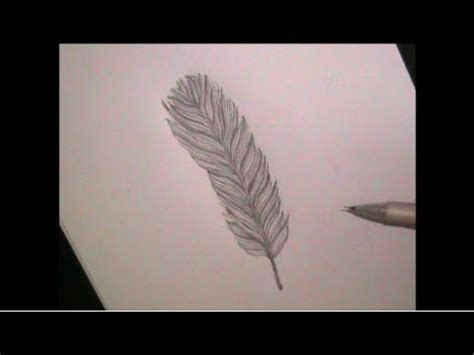 Feather Drawing Step By Step At PaintingValley Com Explore Collection Of Feather Drawing Step