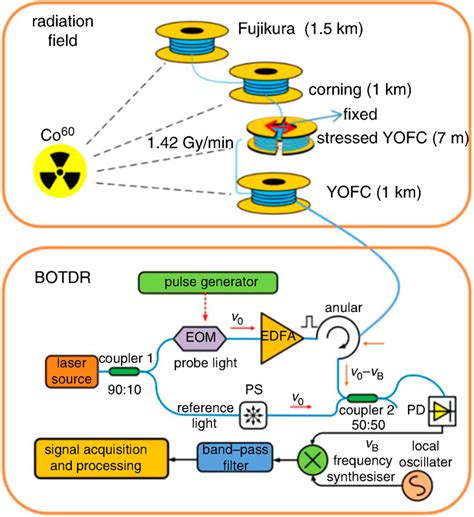 Principle Diagram Of Radiation Recovery Experiment Download Scientific Diagram
