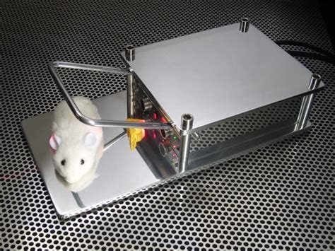 IoT Field Notes Muddled Marketing Messages Maker Turtle