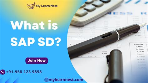 What Is SAP SD MyLearnNest Training Academy