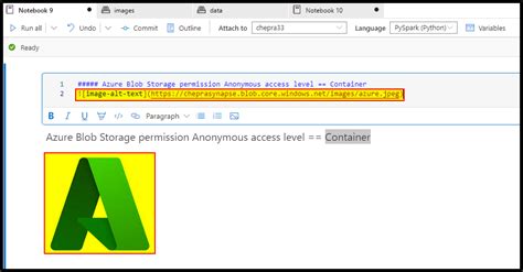 How To Display Image Png Jpeg In Synaps Notebook Microsoft Qanda