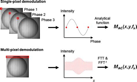 Spatial Frequency Domain Imaging In 2019 Principles Applications And Perspectives