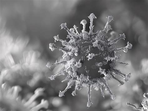 Download Virus Electron Microscope Cell Royalty Free Stock