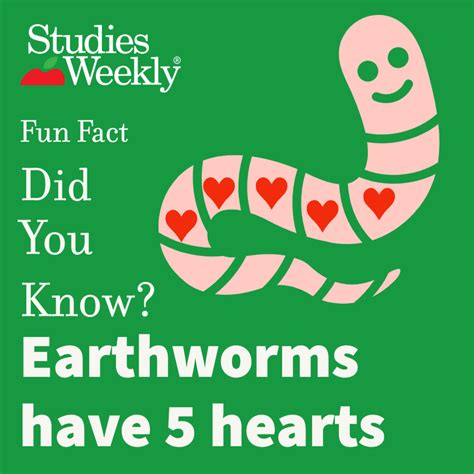 Science Curriculum Artofit