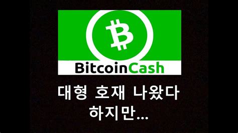 비트코인캐시 대형호재 나왔다 하지만 YouTube