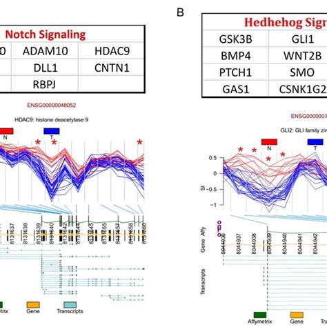 Splicing Index Si Analyses Using Affymetrix Hugene 10 St V1 Download Scientific Diagram