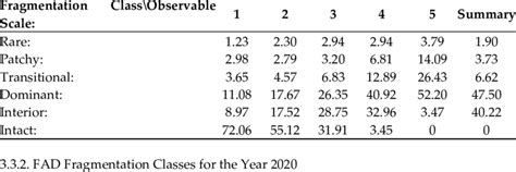 Summary Of Observable Scale For Fragmentation Analysis In The Year 2000