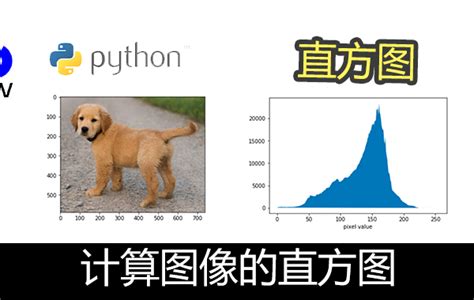 Opencv Python 图像矩阵的均值和标准差 创客出手