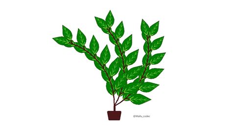 How To Draw A Leaf In Python