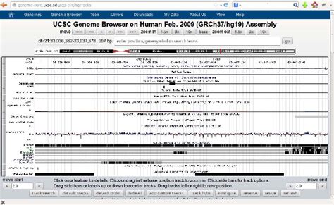 Figure 1 From Extending The Visualization Capabilities Of A Genome