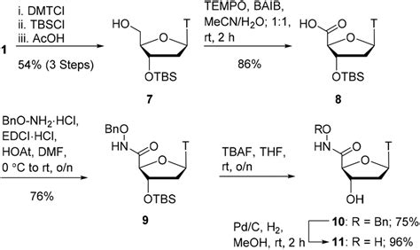 Dna And Nucleotide Modification Mysite