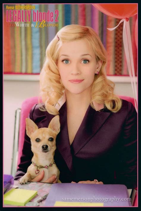 Legally Blonde Movie Stills