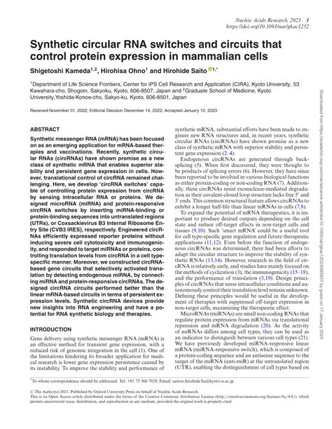 PDF Synthetic Circular RNA Switches And Circuits That Control Protein Expression In Mammalian