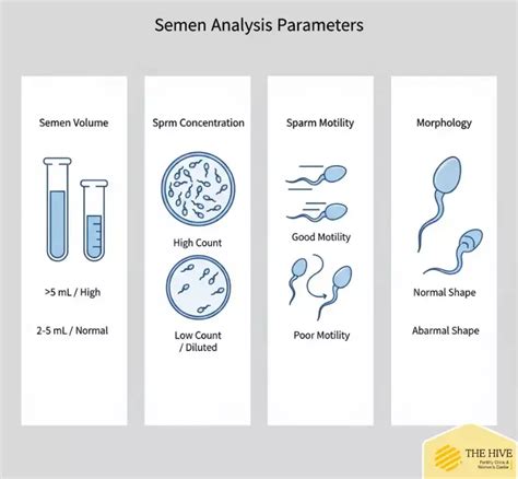 Hyperspermia Secret Impact On Male Fertility Explained