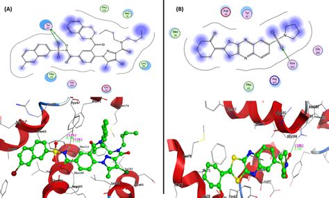 Represented The 2d And 3d Binding Modes Of A Co Crystallized Ligand Download Scientific