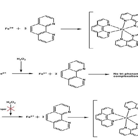 Pdf A Sensitive In Vitro Spectrophotometric Hydrogen Peroxide Scavenging Assay Using 1 10