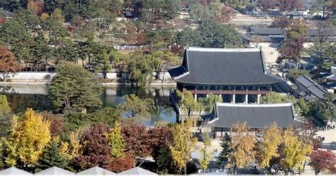 사람 잡는 배수로… 경복궁 단풍 구경하다 빠져 골절 국가가 책임