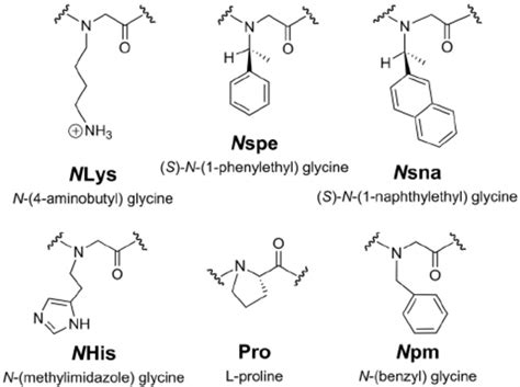 Guide To Peptoid Monomers Download Scientific Diagram