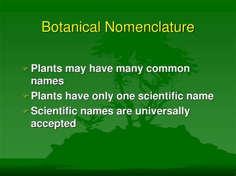 Ppt Botanical Nomenclature Powerpoint Presentation Free Download Id 1447521