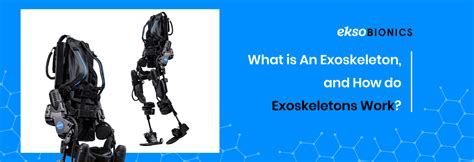 How Effective Is Exoskeleton Rehabilitation