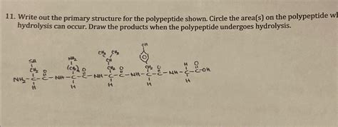 Solved Write Out The Primary Structure For The Polypeptide