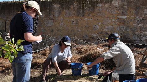 Archaeology Western Australian Museum