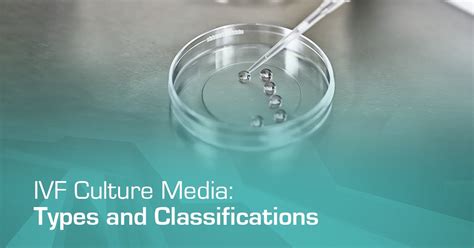 Chart Classification Of Culture Media At Paige Cremean Blog